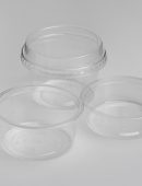 כלים מתכלים | כלים חד פעמיים מתכלים | חד פעמי מתכלה | אקוג'ו - אריזות מהטבע